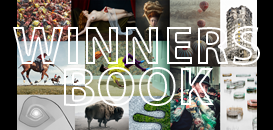 International Color Awards™| International Photography Competition & Awards